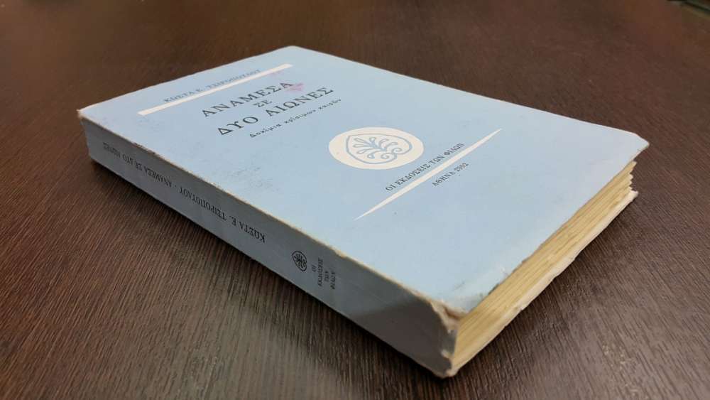 ΑΝΑΜΕΣΑ ΣΕ ΔΥΟ ΑΙΩΝΕΣ - πίξελbooks