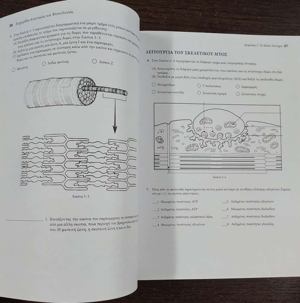 ΑΝΑΤΟΜΙΑ ΚΑΙ ΦΥΣΙΟΛΟΓΙΑ - ΕΓΧΕΙΡΙΔΙΟ ΑΣΚΗΣΕΩΝ - πίξελbooks