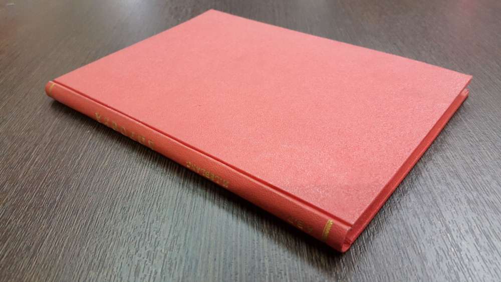 ΔΩΡΟΘΕΑ - Η ΠΡΙΓΚΗΠΙΣΣΑ ΣΧΟΙΝΟΒΑΤΙΣ - πίξελbooks