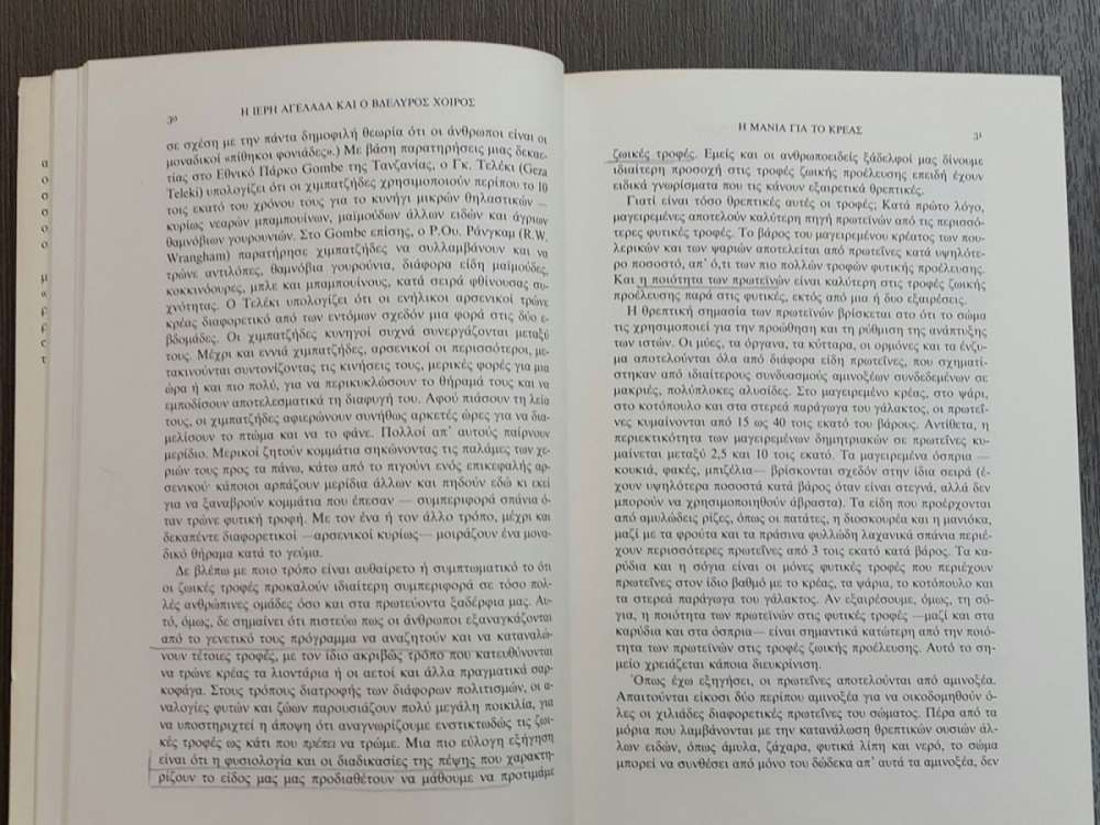 Η ΙΕΡΗ ΑΓΕΛΑΔΑ ΚΑΙ Ο ΒΔΕΛΥΡΟΣ ΧΟΙΡΟΣ - πίξελbooks