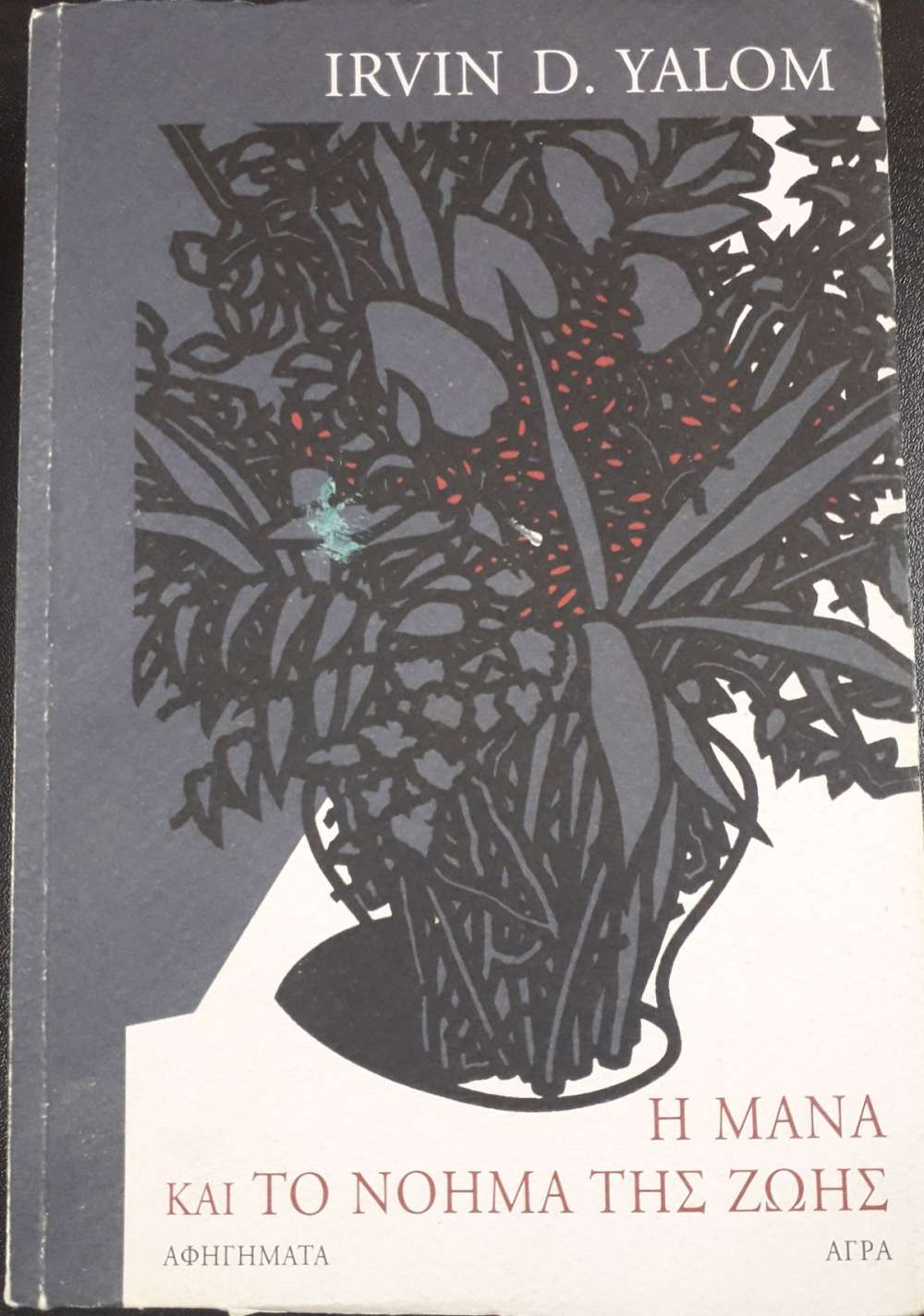 Η ΜΑΝΑ ΚΑΙ ΤΟ ΝΟΗΜΑ ΤΗΣ ΖΩΗΣ - πίξελbooks