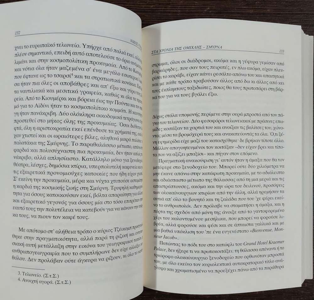 ΣΤΑ ΧΡΟΝΙΑ ΤΗΣ ΟΜΙΧΛΗΣ - πίξελbooks