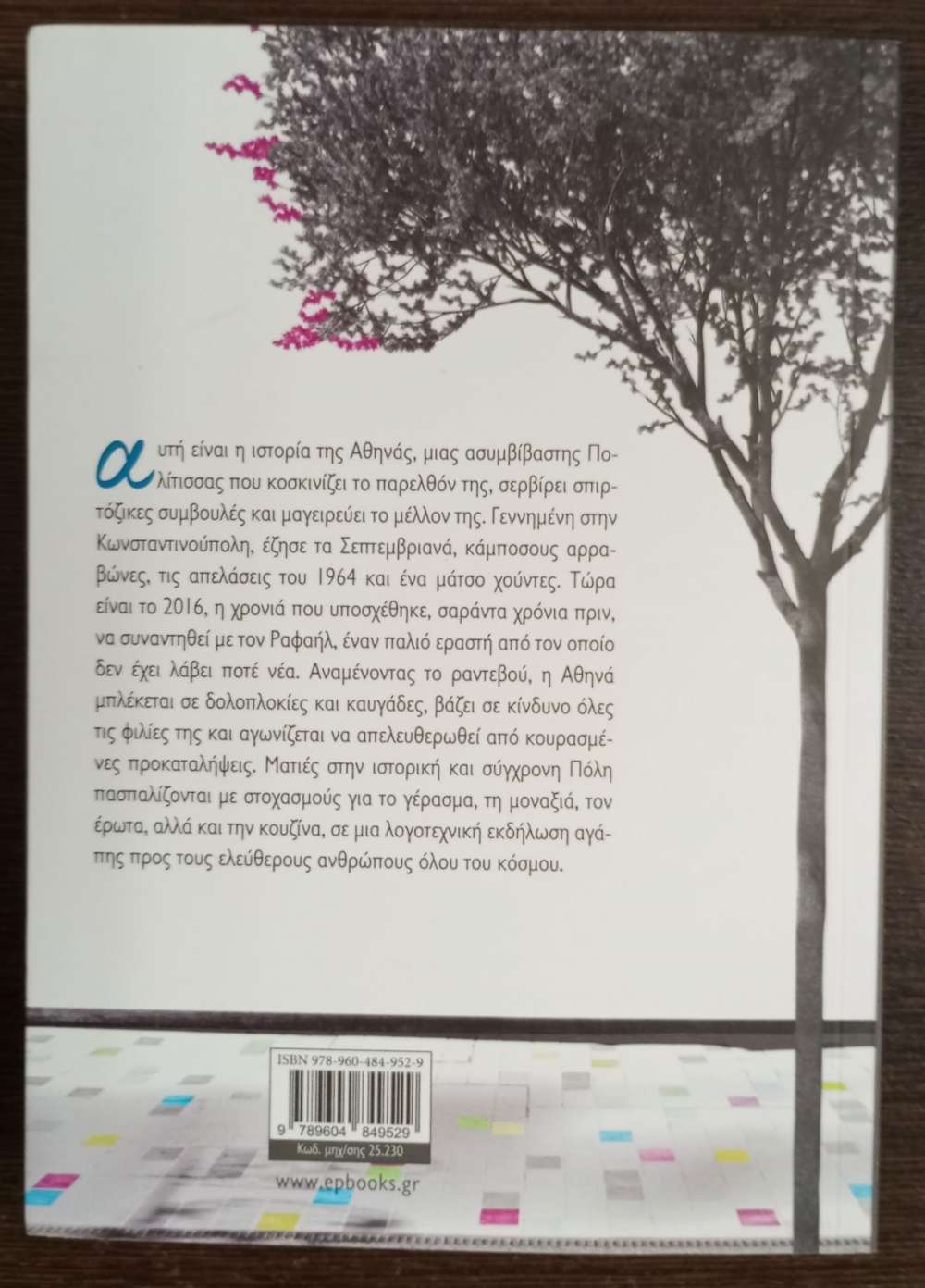 ΣΤΑ ΠΟΔΙΑ ΤΗΣ ΑΙΩΝΙΑΣ ΑΝΟΙΞΗΣ - πίξελbooks