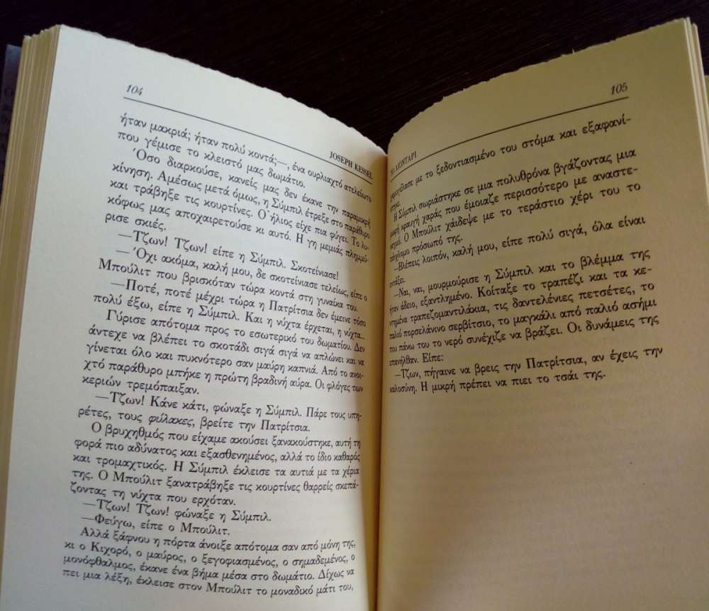 ΤΟ ΛΙΟΝΤΑΡΙ - πίξελbooks